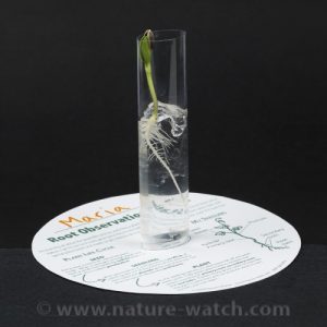 Root Observation – Nexplore USA