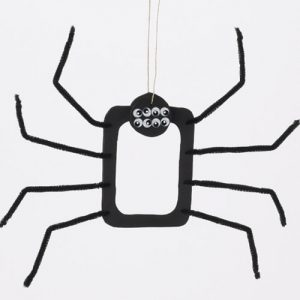 Spider Web Frame – Nexplore USA