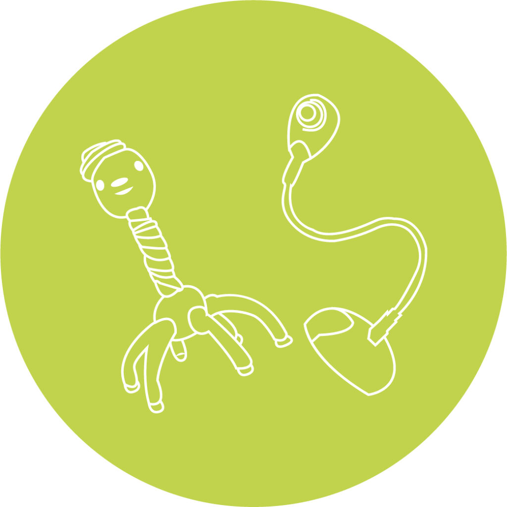 Claymation – Nexplore USA